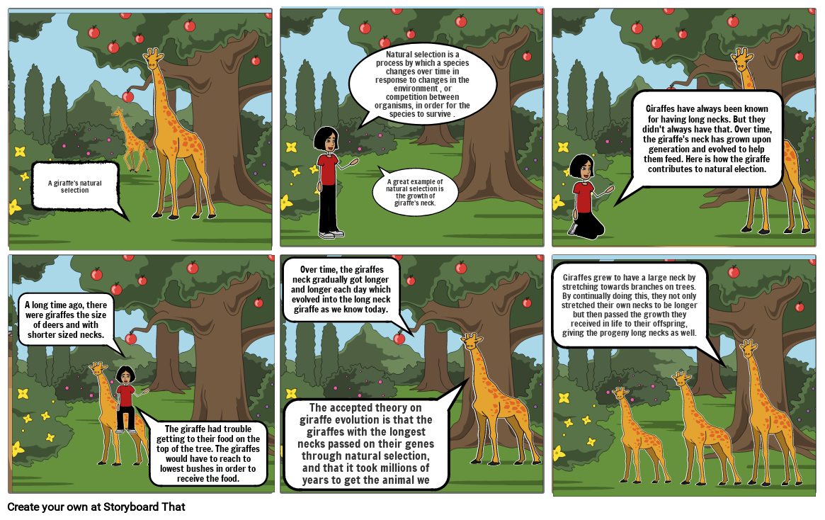 Science project complete Storyboard por 776747e0