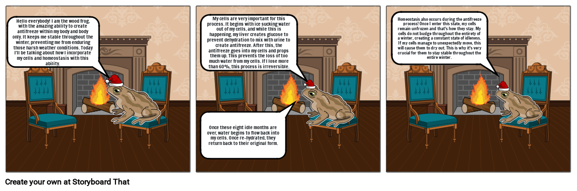 frog Storyboard by 78003090
