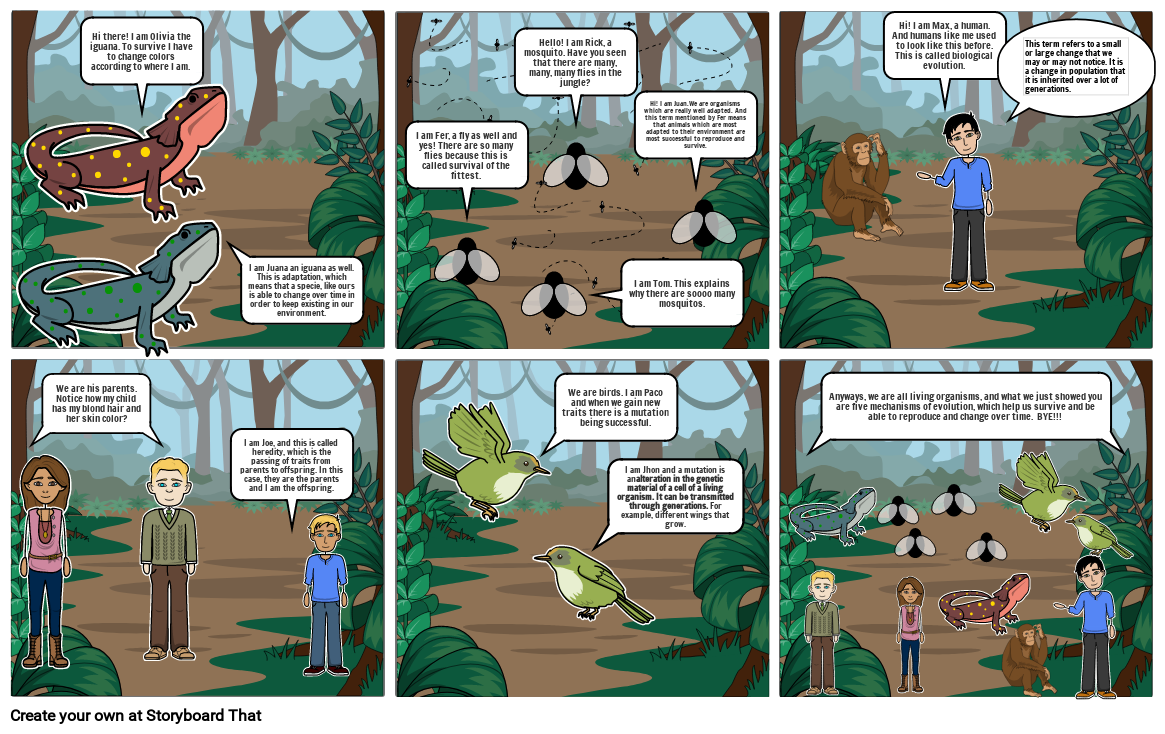 animals Storyboard by 7944c493