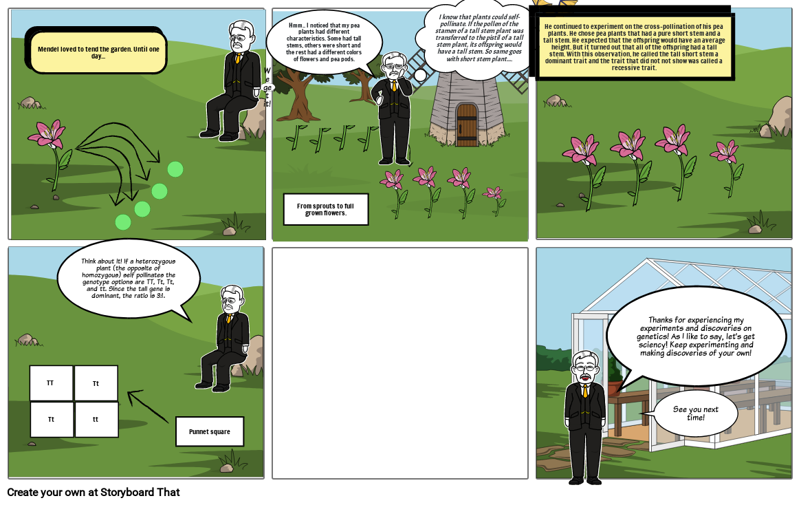 Mendel pea plants Storyboard por 7a689d00
