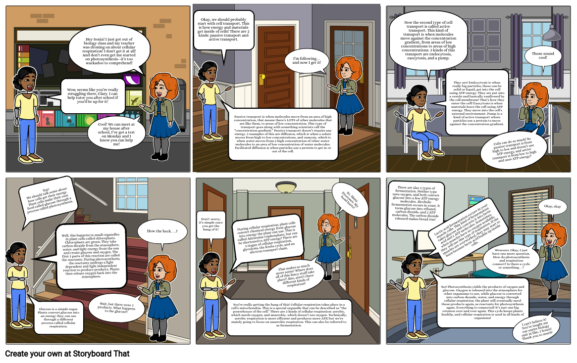 Cell Energy and Transport Storyboard Project--Madelyn Scholle