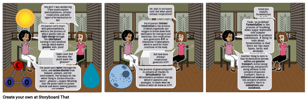 Cell Transport Storyboard Storyboard by 8b42d427