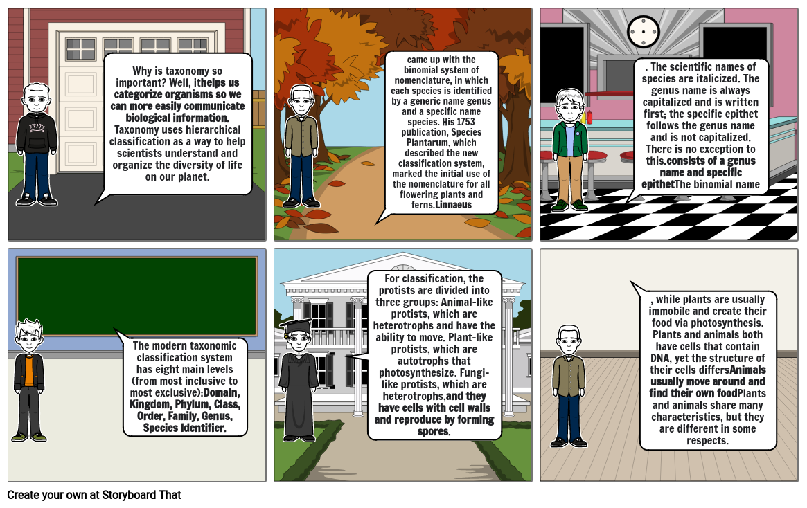 classification Storyboard por 8b7ce42e