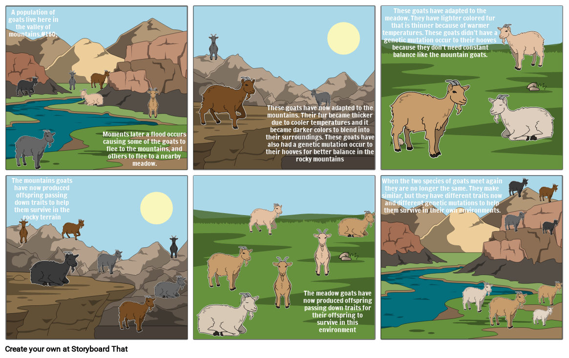 speciation storyboard Storyboard by 8c43cf1d