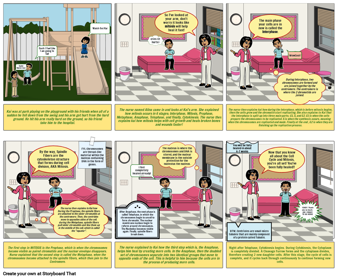 Cell Cycle & Mitosis Storyboard by 92823f5d
