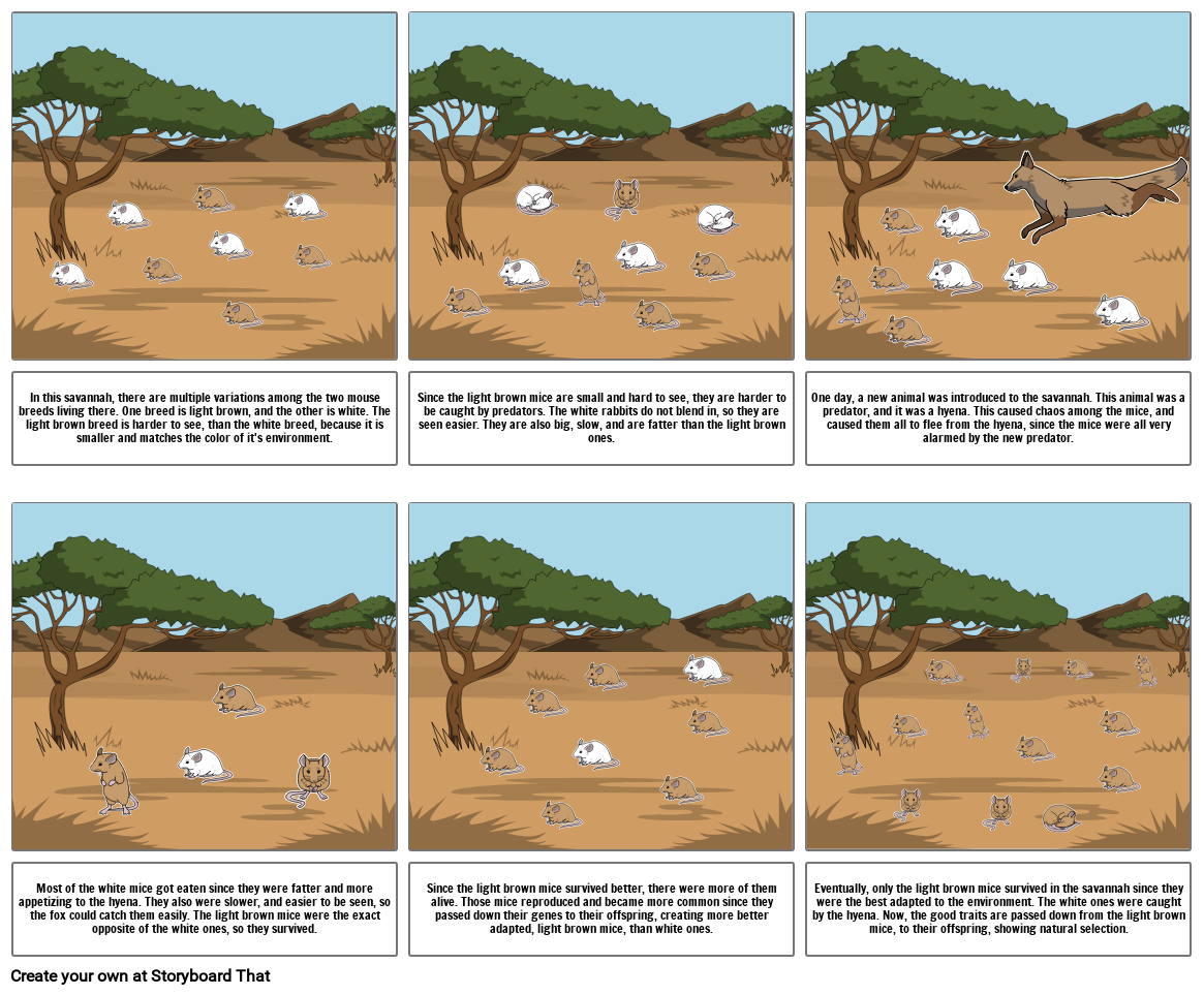 NATURAL SELECTION Storyboard por 94e677ba