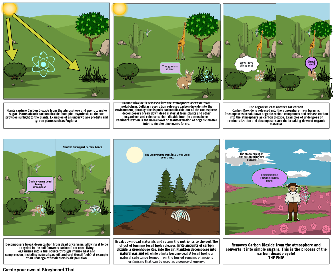 The Carbon Pump!!! Storyboard by 958e3b5e