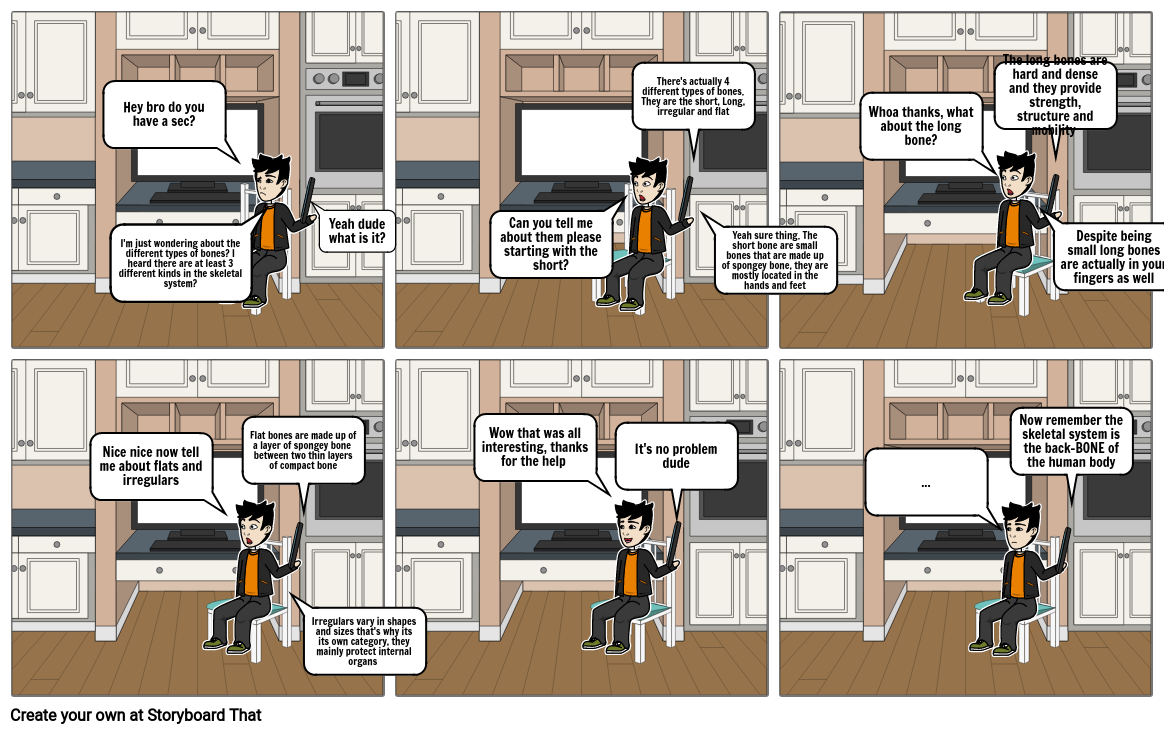 Different types of bones Storyboard by 9bc91b41