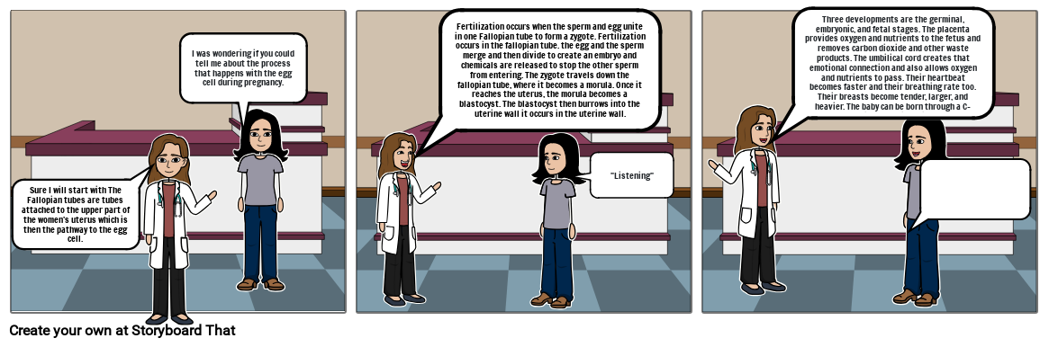 Conception to Birth Project Storyboard por 9d156358