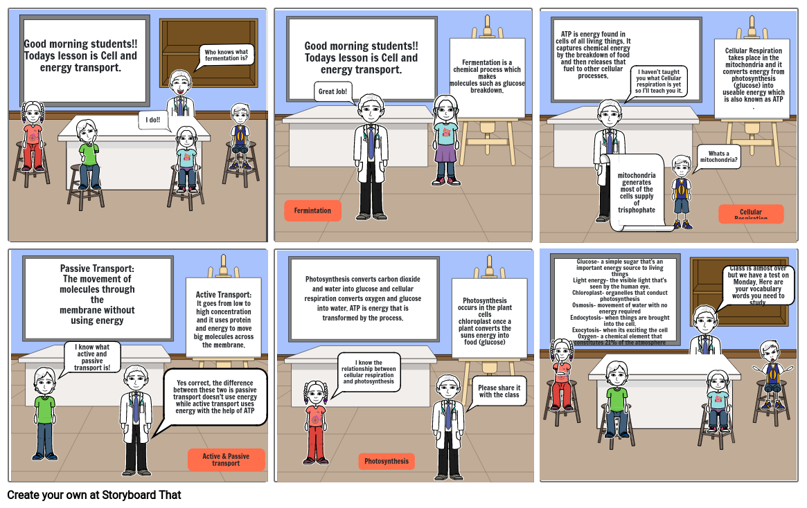 Cellular energy and transport Storyboard por 9ecbbcfe