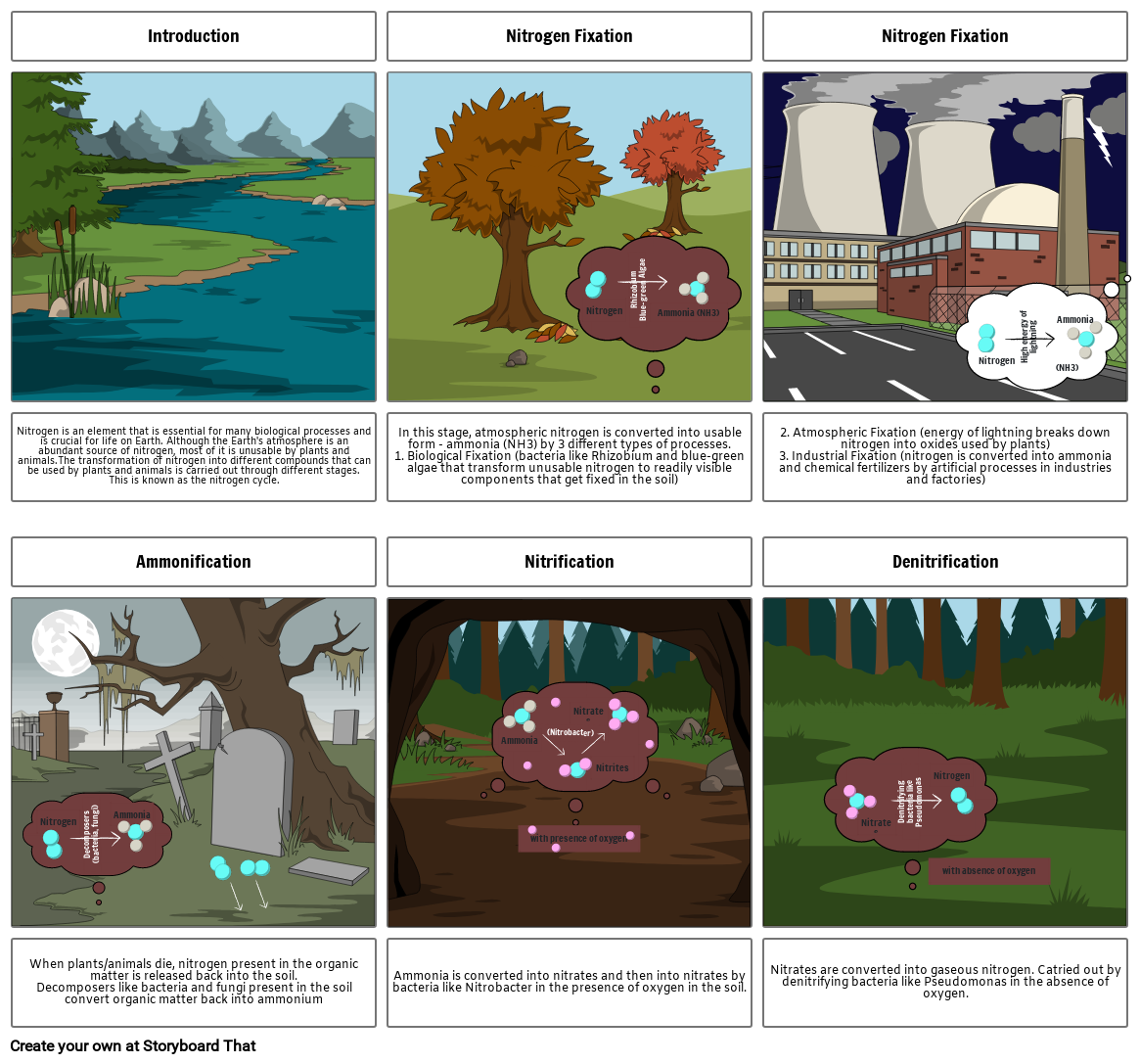 For biology projects :) Storyboard por 9ed69710