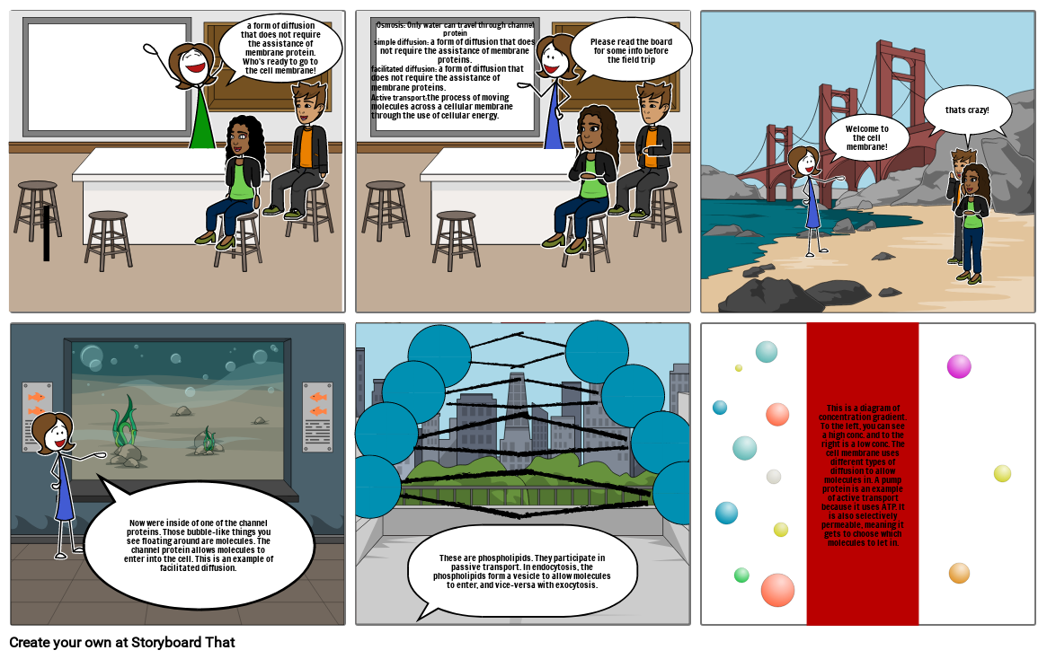 biology Storyboard by a48fd9fe