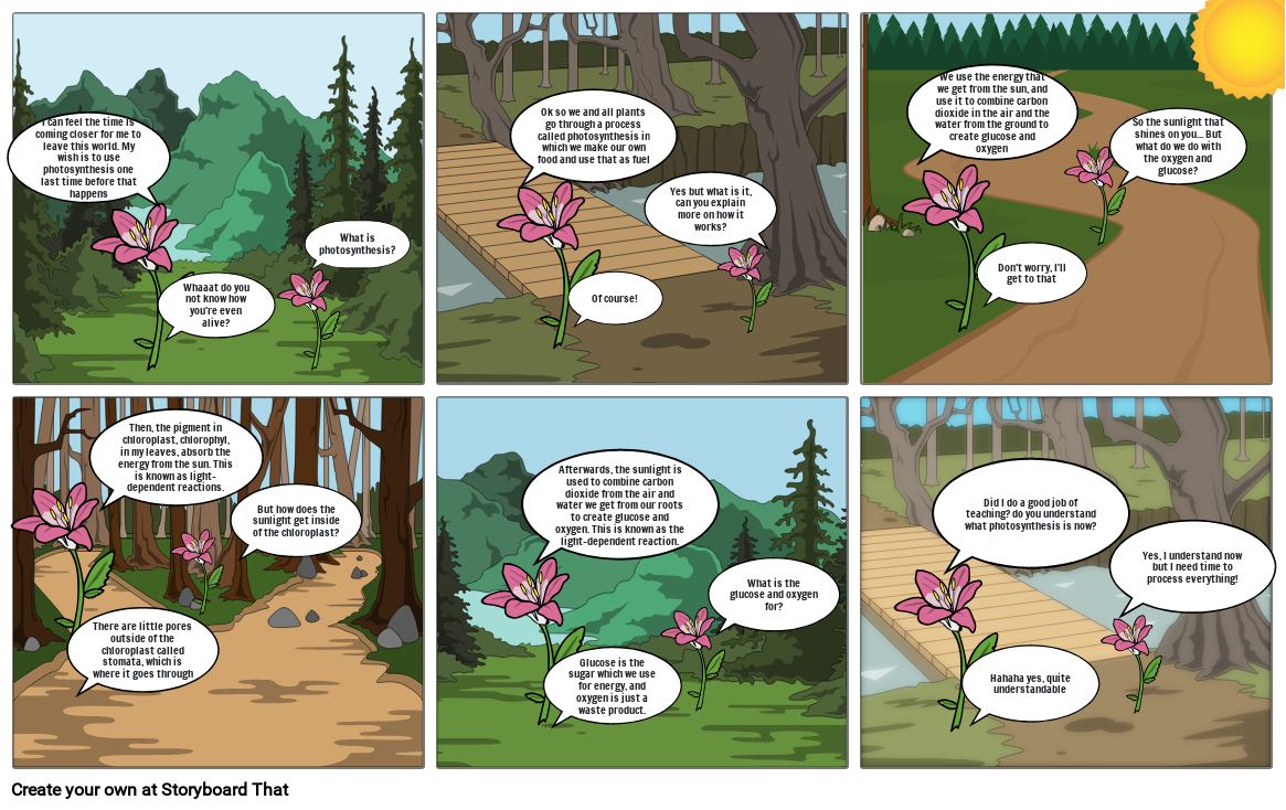 Photosynthesis Storyboard por a99b9dd5