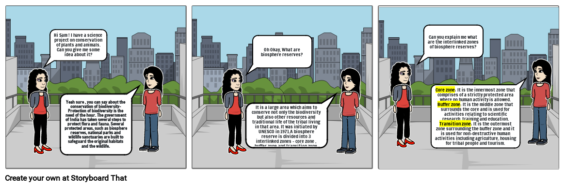 SCIENCE COMIC STRIP Storyboard by ad19ce66