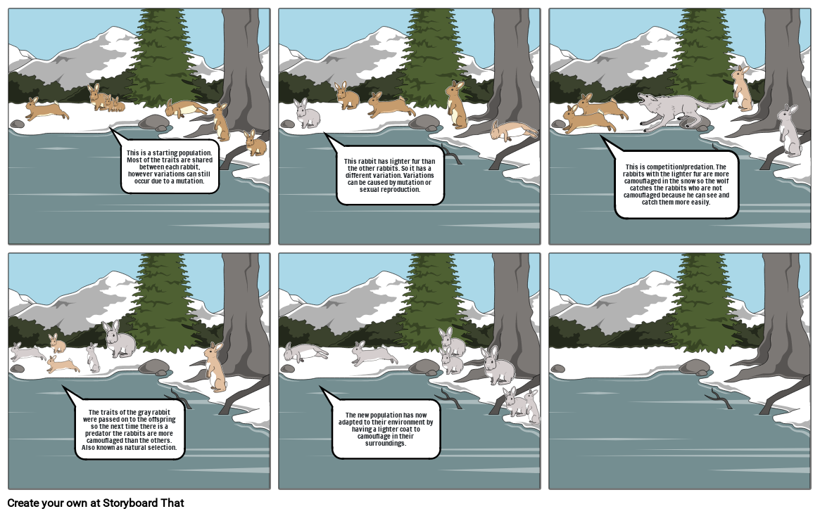 science-mini-project-storyboard-by-ad33c120