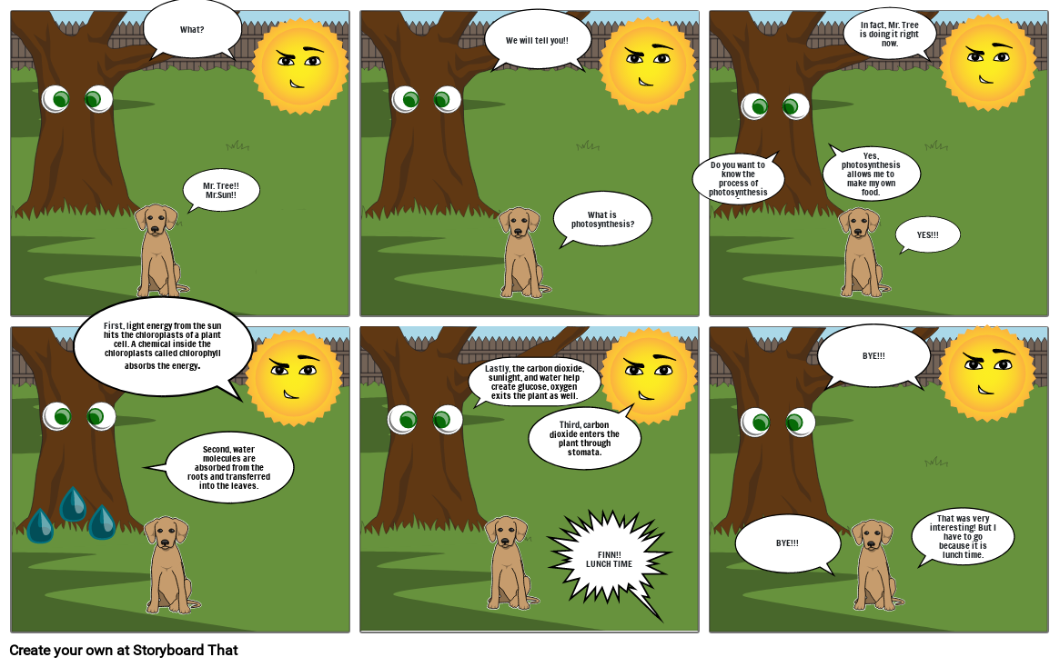 Photosynthesis Storyboard By Ade43a46 photosynthesis-storyboard-by-ade43a46