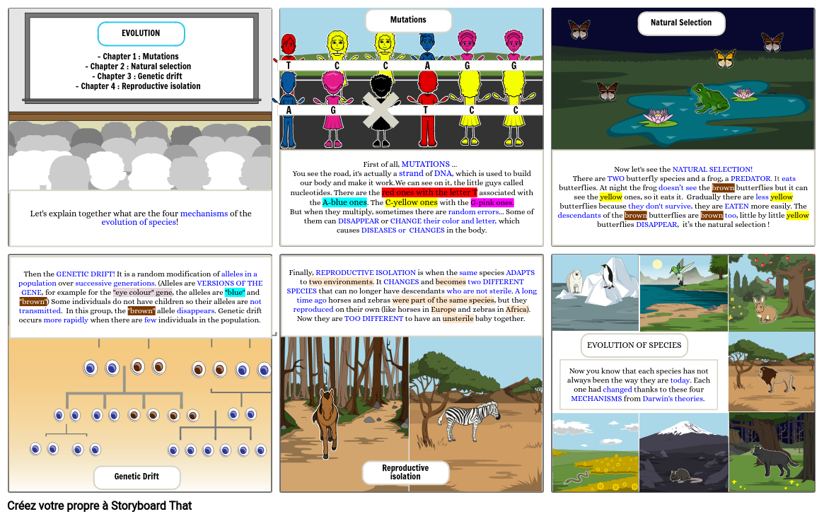 Darwin - Evolution Storyboard by adelaide-moinard