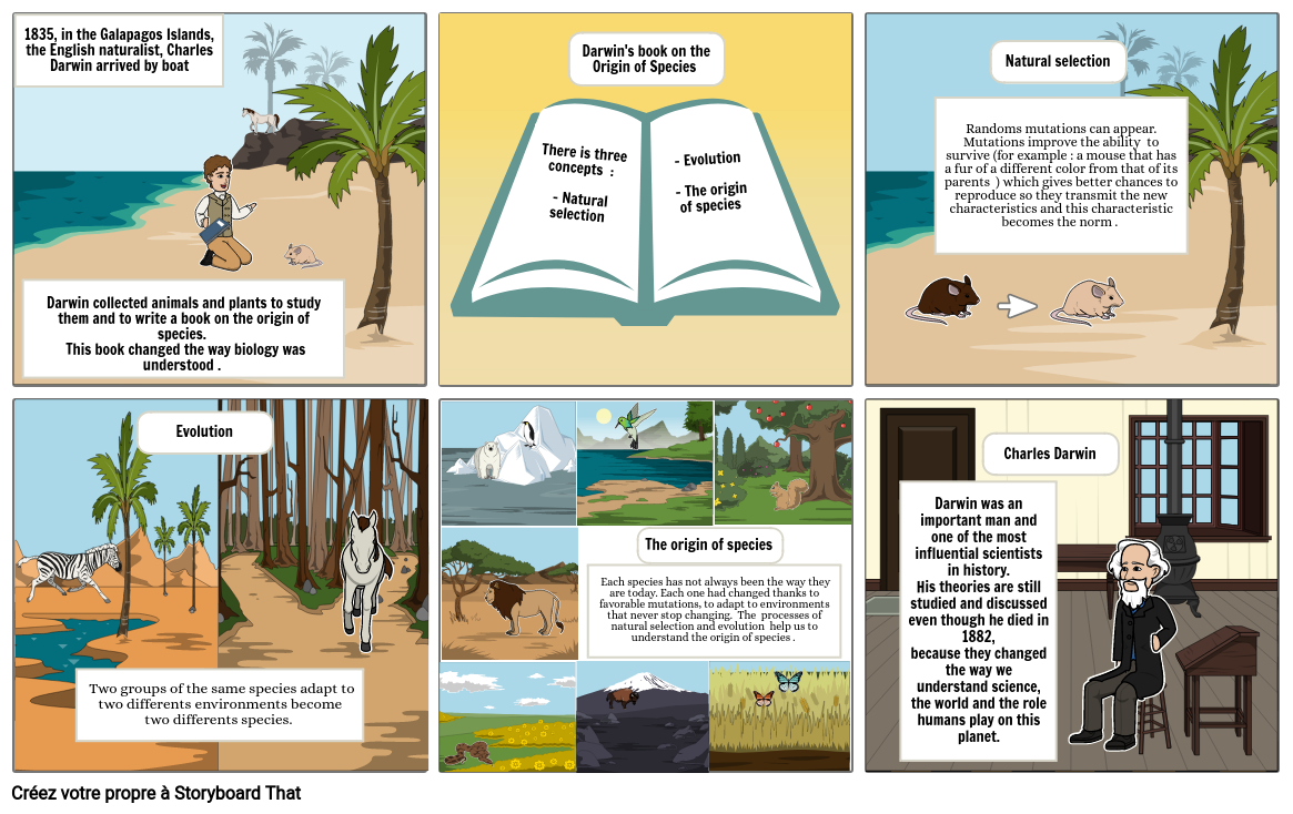 Darwin theory Storyboard by adelaide-moinard