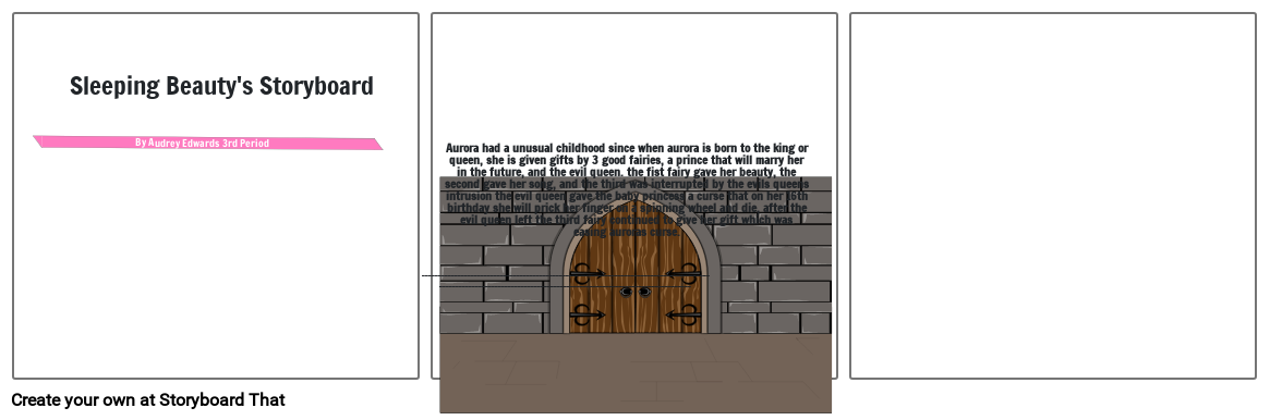 Hero's Journey Sleeping Beauty Storyboard by aedwards002