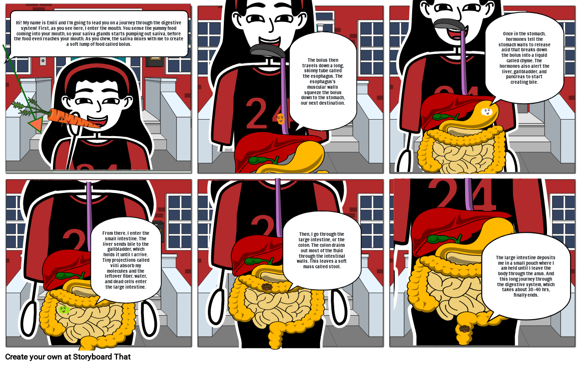 The Digestion Process Storyboard by af729ed5