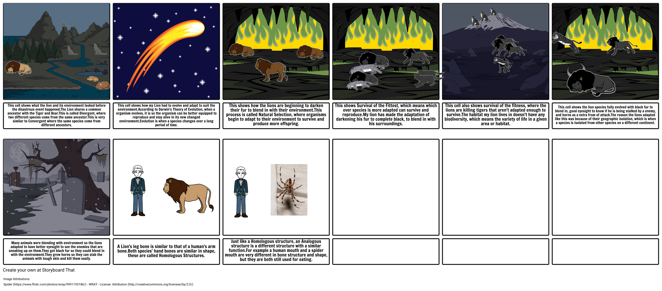 Biology Project Storyboard par alexk1105