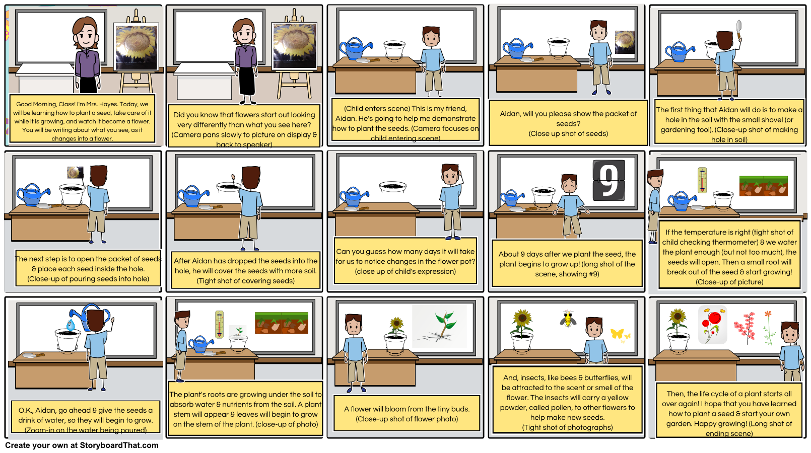 From Seed to Flower Storyboard by amhayes