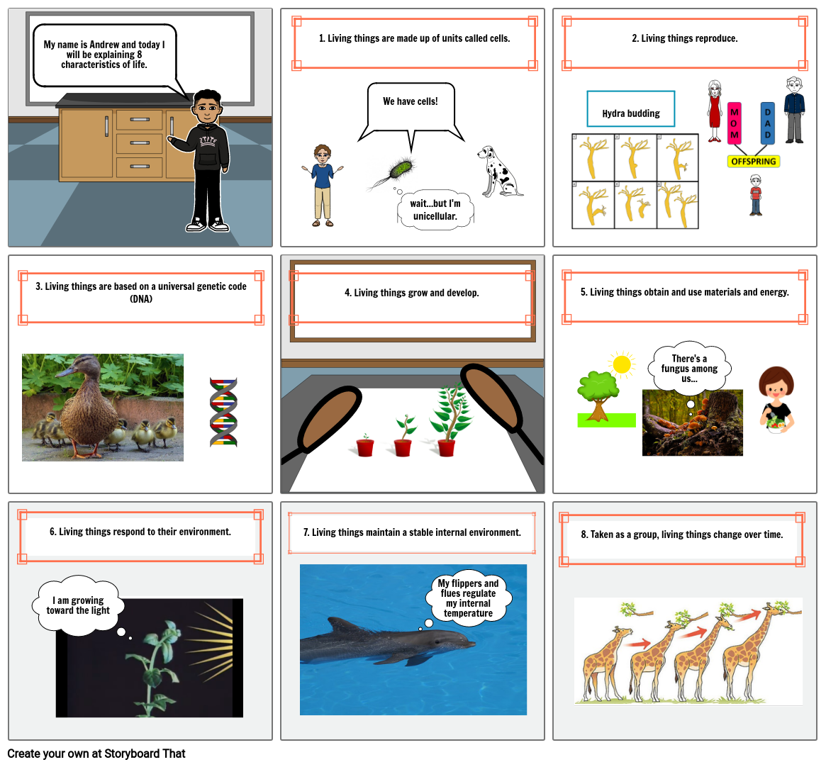 Biology 8 Characterisitcs of Life Storyboard by andrewdiaz372765