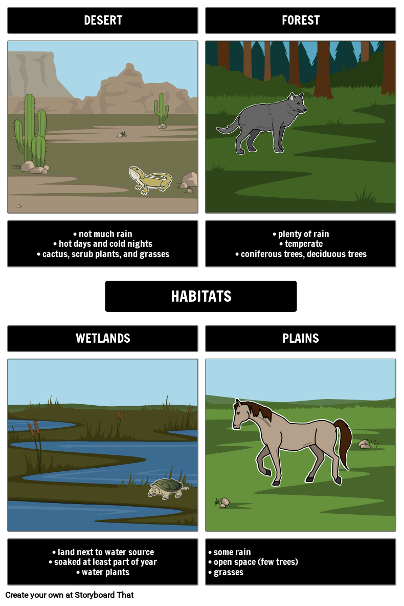 Frayer Model - Habitats Storyboard by anna-warfield
