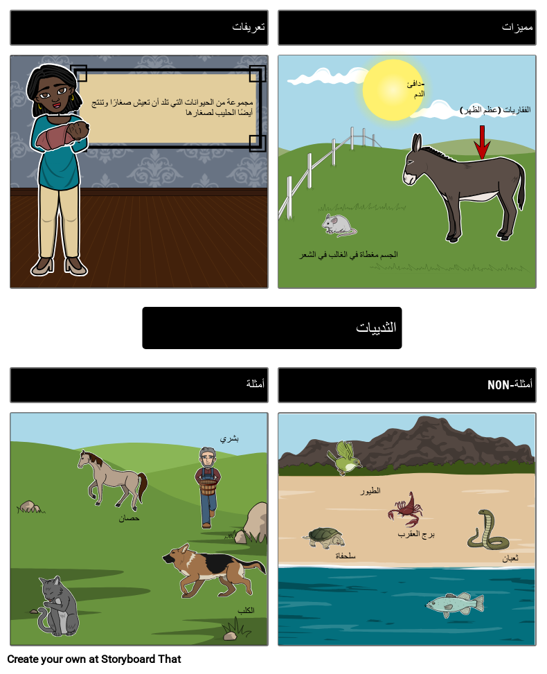 mammals-frayer-model-storyboard-por-ar-examples