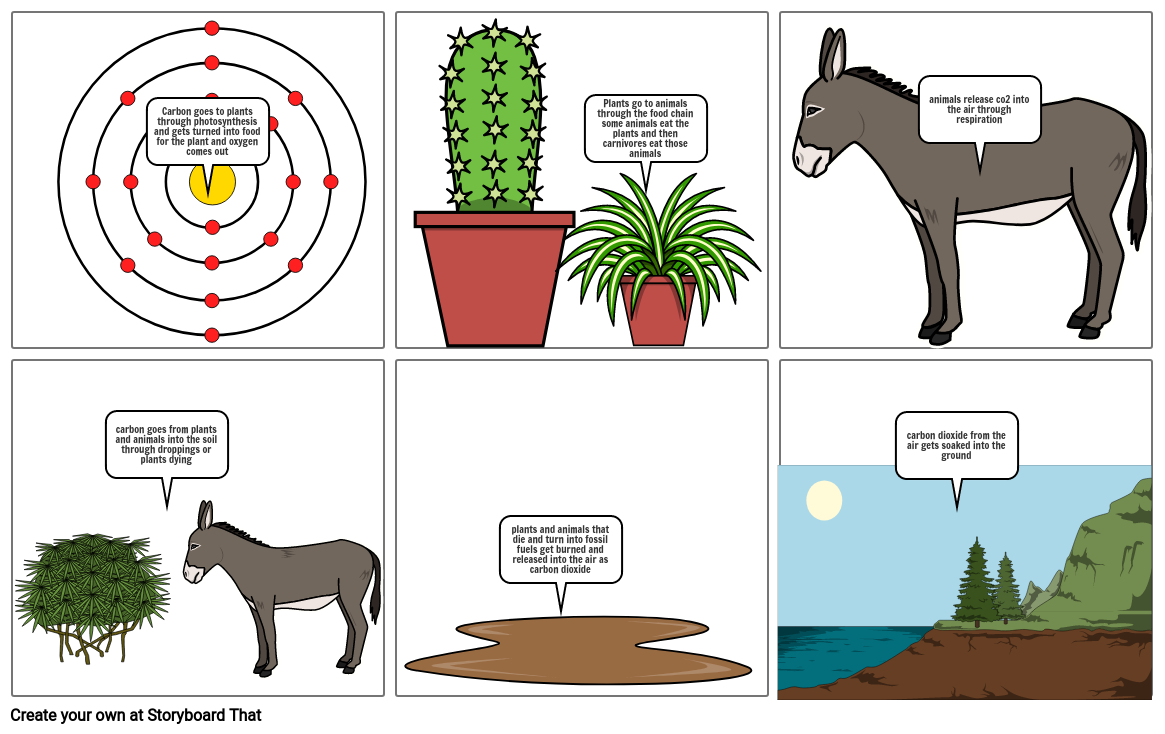 Science Comic Strip Storyboard By B02fcefa 
