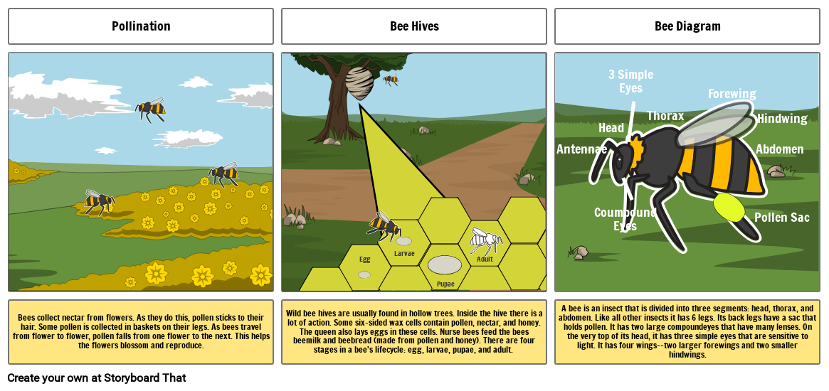 storyboard on bees Storyboard por b1d02d1a