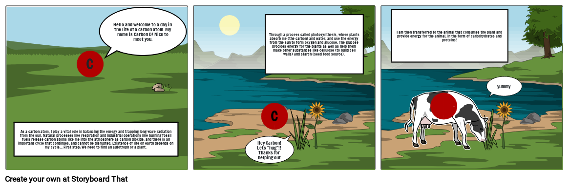 Group 4 Biology People How Does Your Carbon Cycle Succession and ...