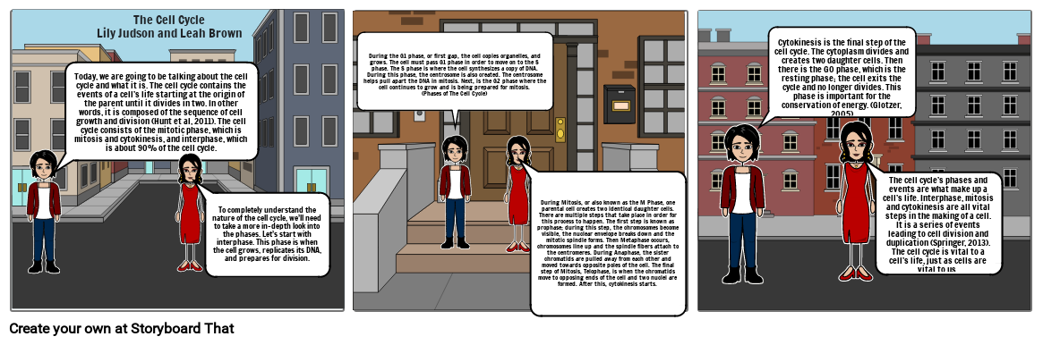 The Cell Cycle By Lily Judson And Leah Brown Storyboard