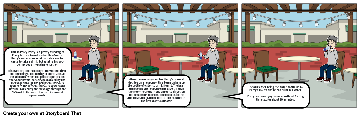 this is percy Storyboard by ba09293c