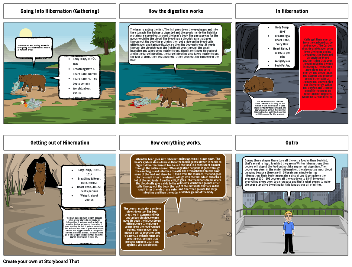 Science - Bear Hibernation Storyboard por bbc1a004