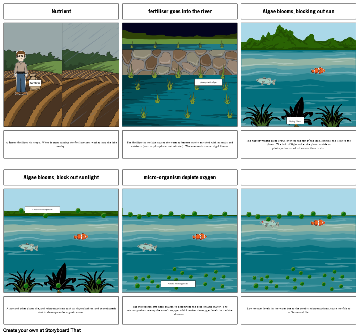 eutrophication storyboard Storyboard by benny_