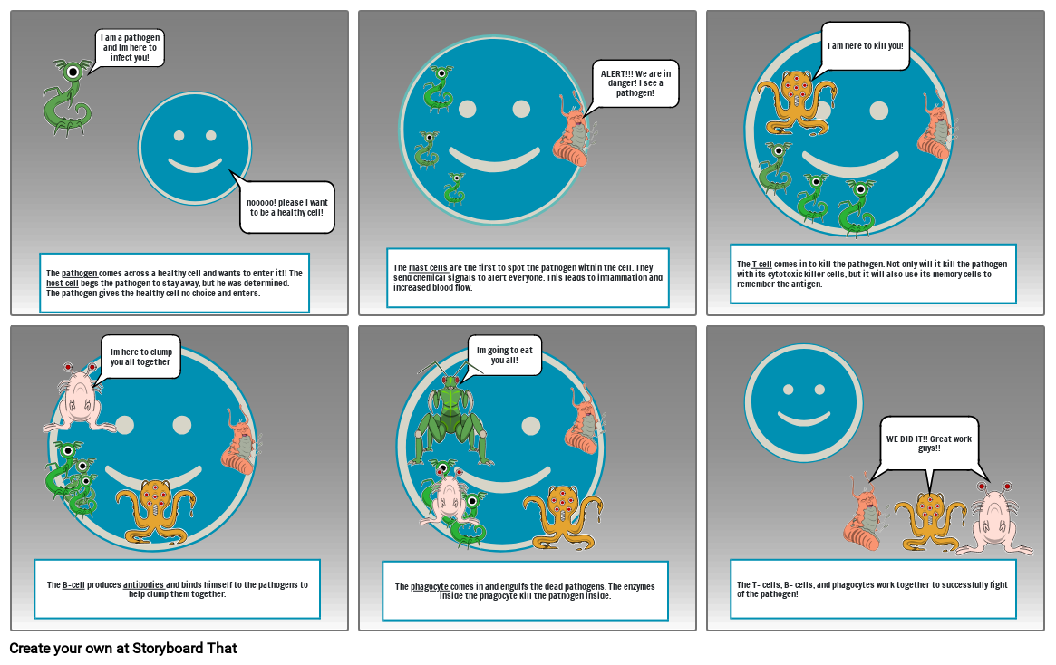 B CELL RESPONSE Storyboard by cac26131
