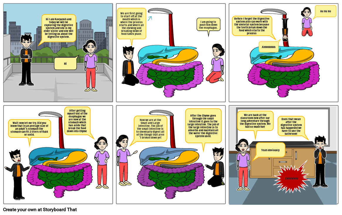 Digestive System Story Board Storyboard por cb7d53a3