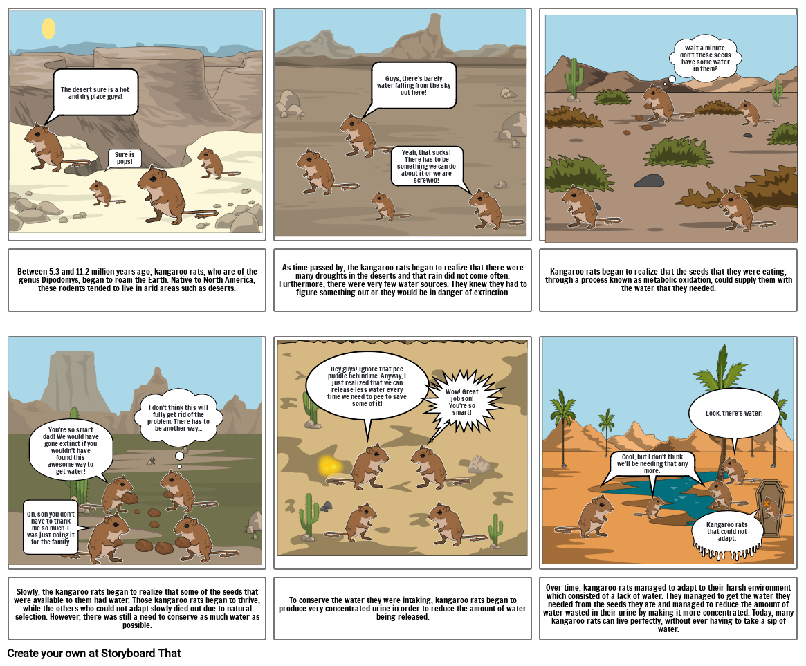 Kangaroo Rat Evolution Storyboard por cb8a4b73
