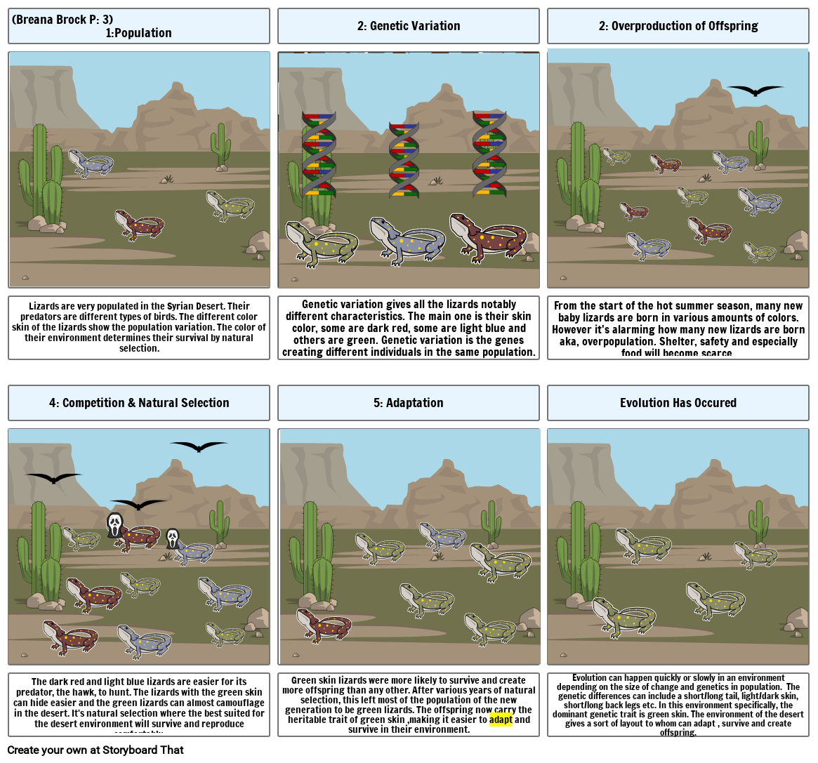 Genetic Variation Examples Unknown Story Storyboard Door Cc200674