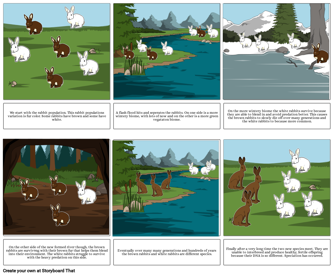 Speciation Storyboard por ckoehnke
