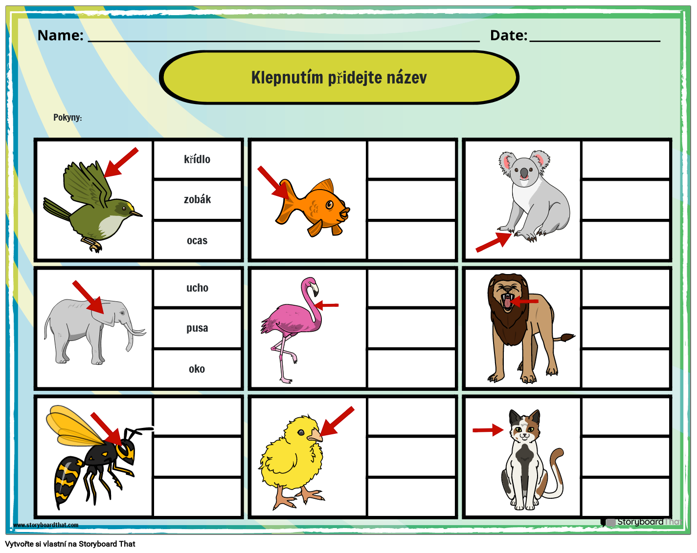 Šablona Listu Části Těla Zvířat Storyboard por cs-examples