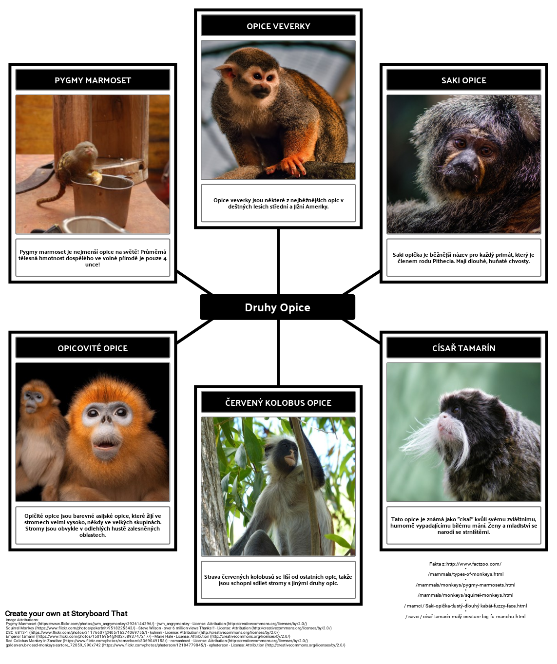 Spider Mapa - Monkeys Storyboard o cs-examples