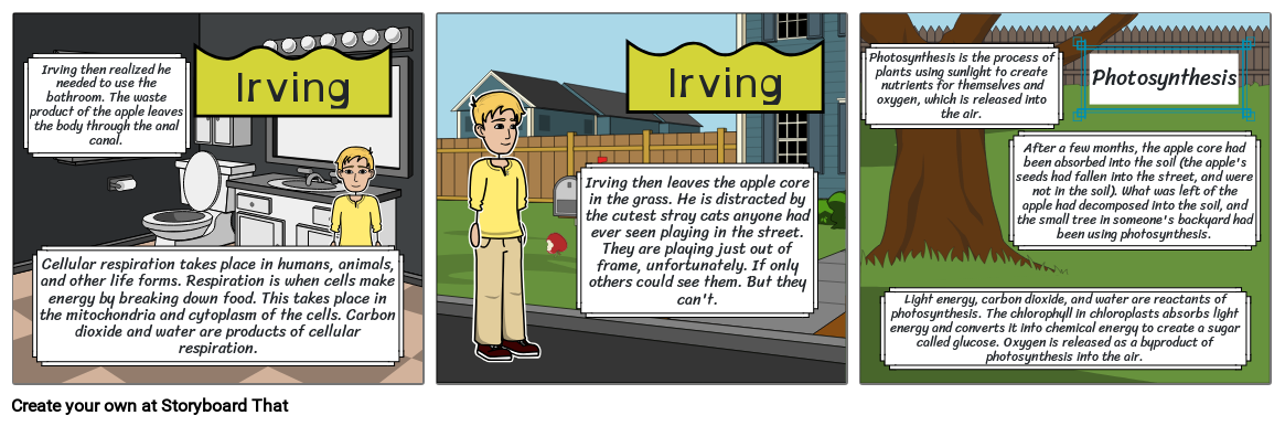 Story of a Food Atom Storyboard by d13a60ee