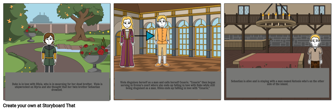 Twelfth Night Summary