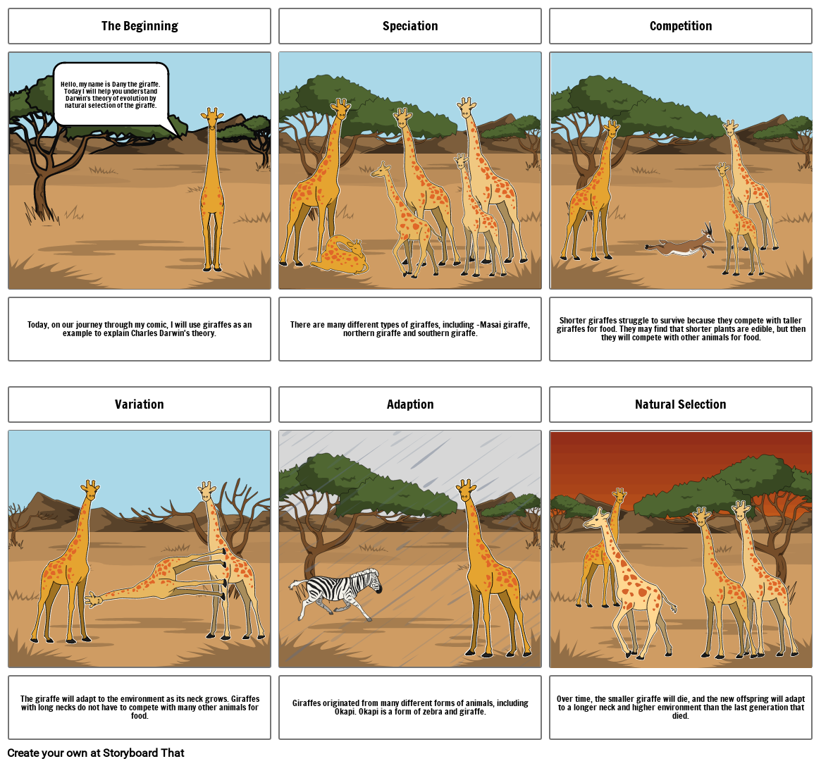 Darwin Storyboard por d60c63db