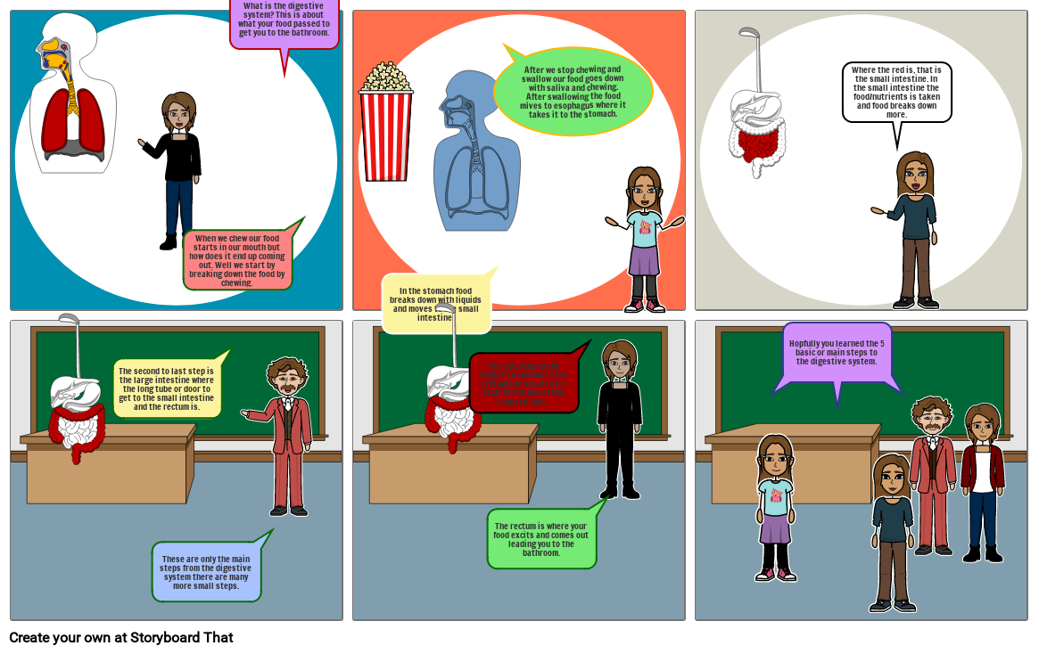 Digestive system Storyboard by d8b233da