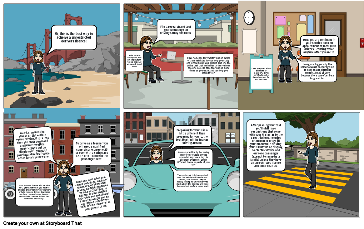 Journey to an Unrestricted Drivers Licence Storyboard