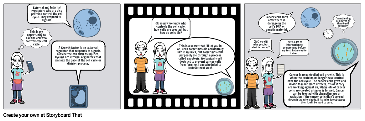 Cell cycle regulation Storyboard par d91f0cb2