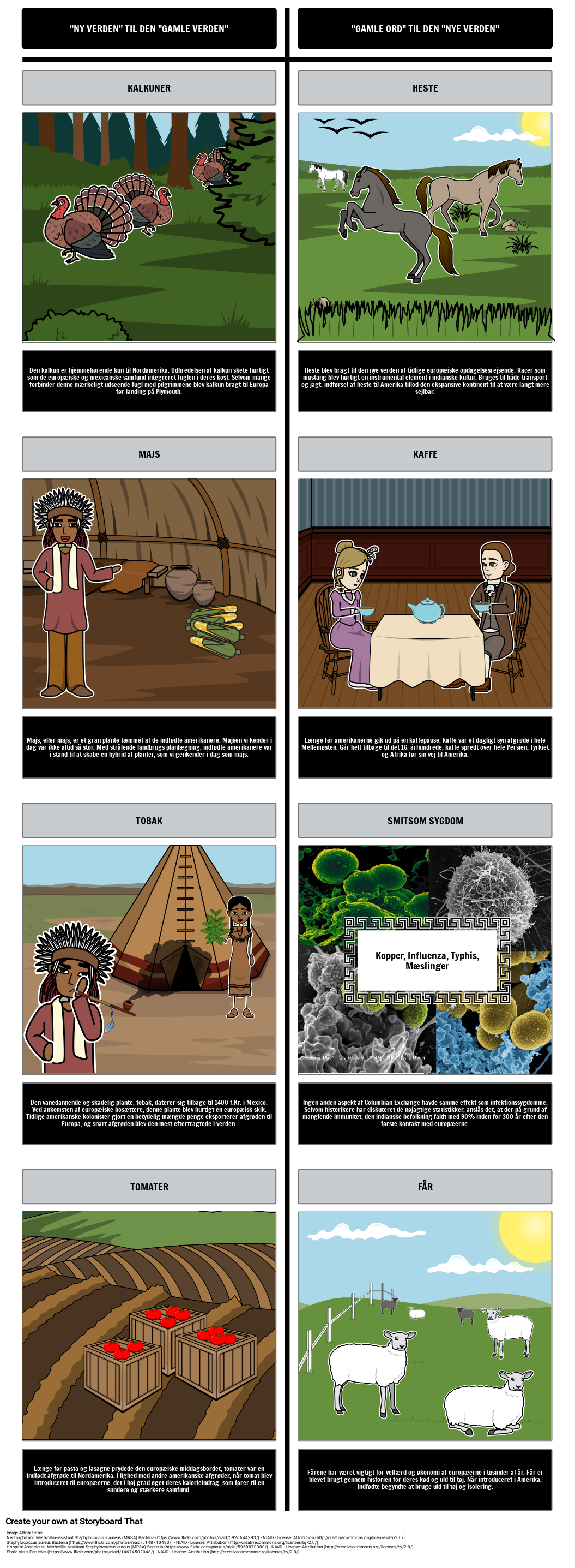 Age of Exploration - Columbian Exchange T-figur